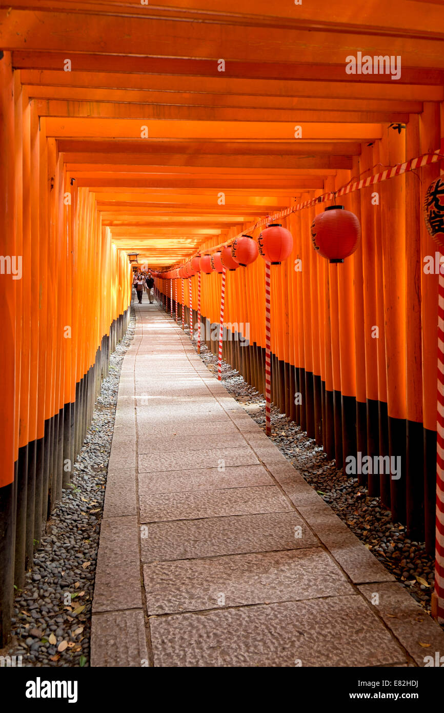 Japan, Honshu, Kyoto, Fushimi Inari-taisha, Torii japanese gates Stock ...