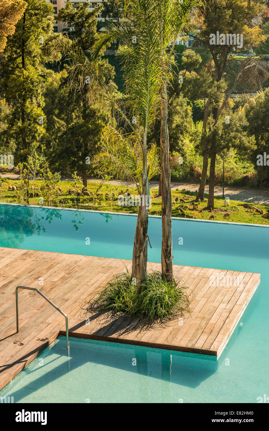 Morocco, Fes, view to swimming pool with wooden boardwalk of a hotel ...