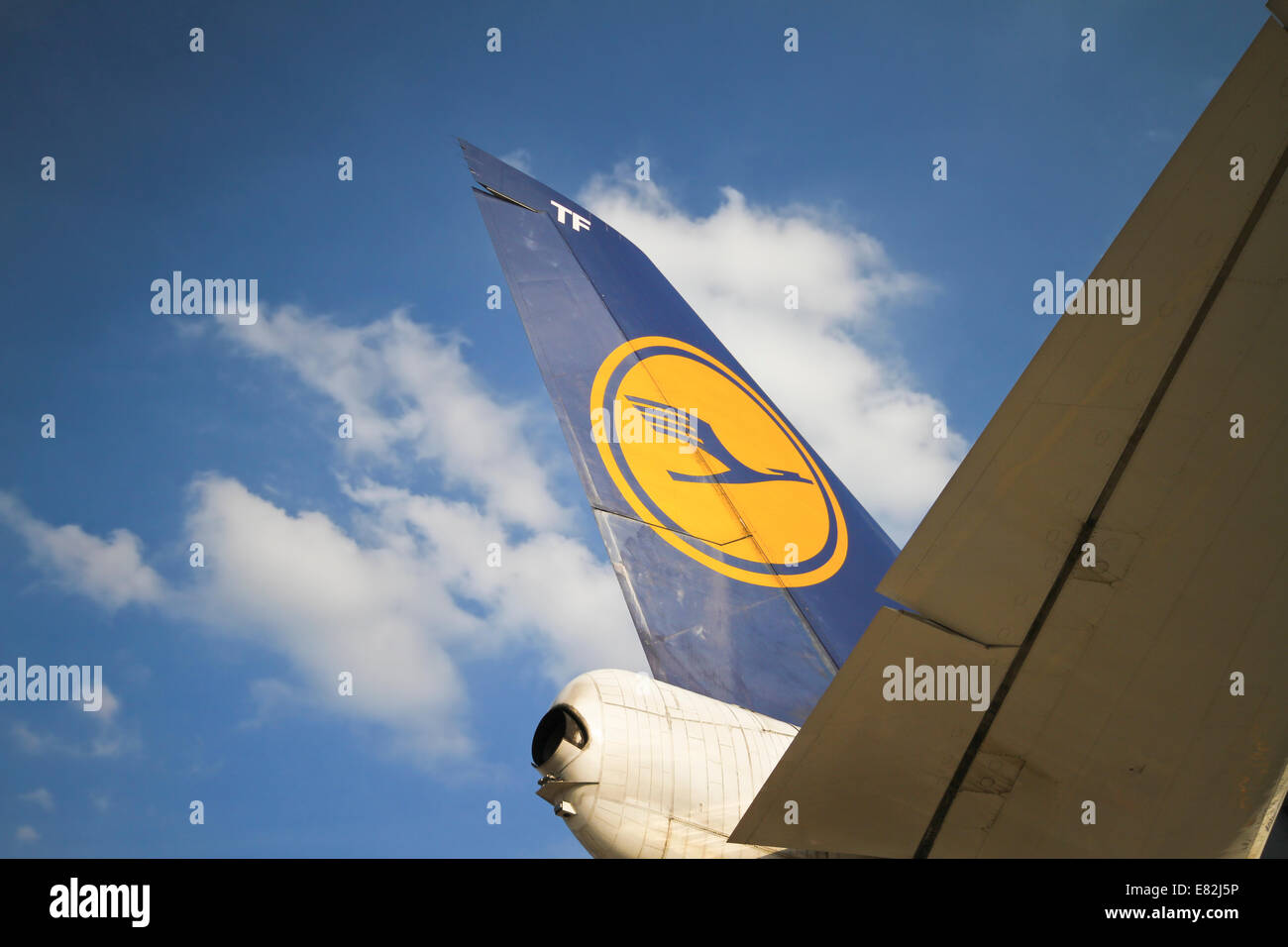 Empennage hi-res stock photography and images - Alamy