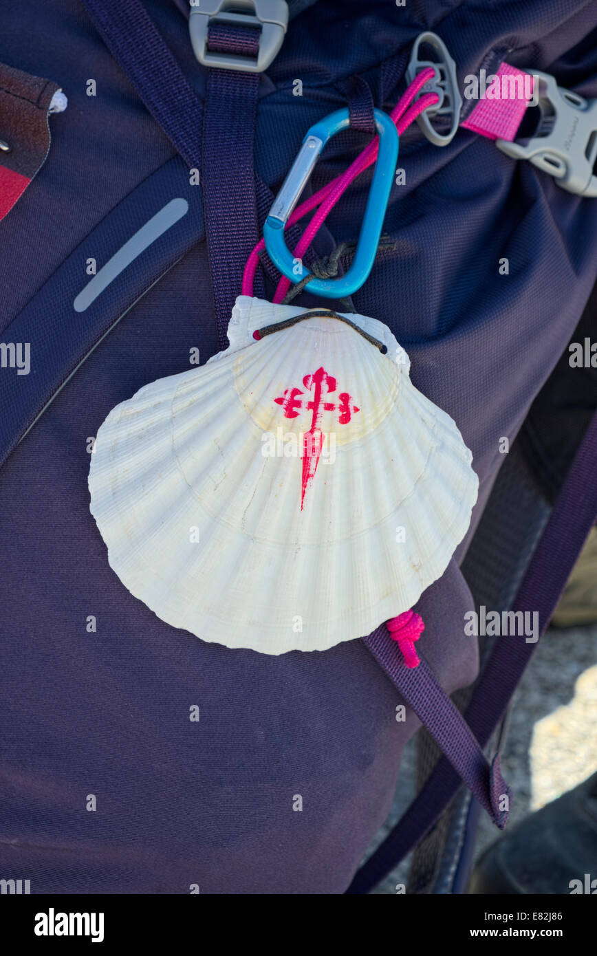 Shell of saint james hi-res stock photography and images - Alamy