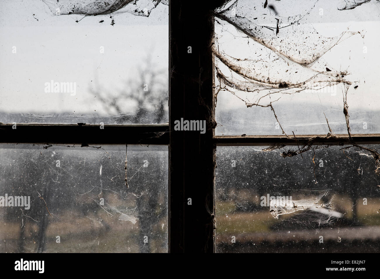 Germany, Baden Wuerttemberg, window with cobwebs Stock Photo - Alamy