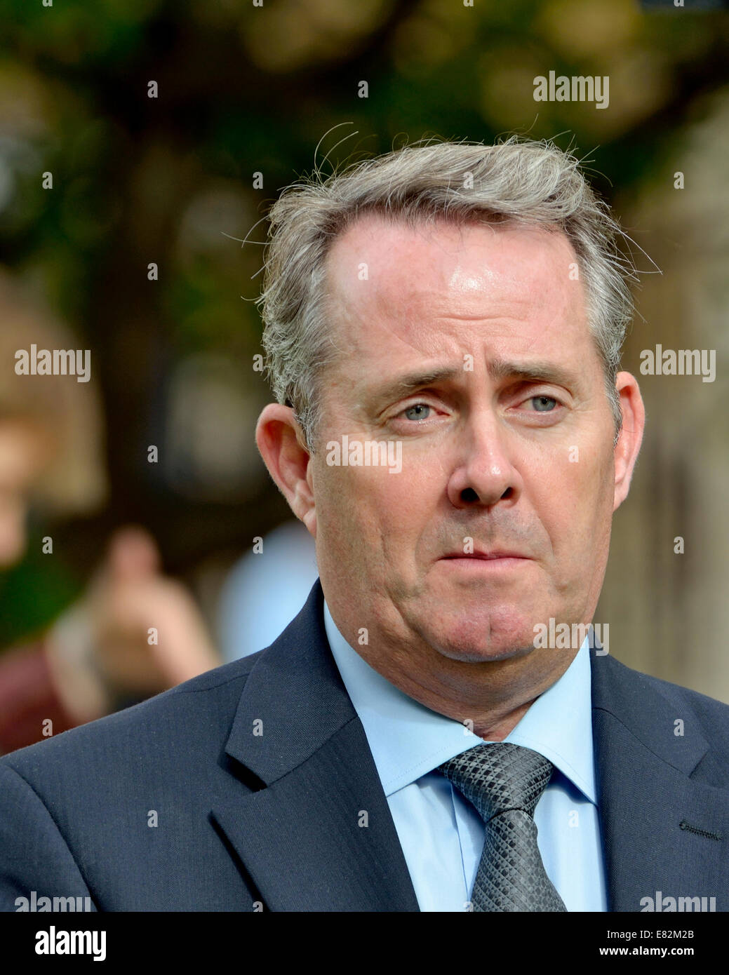 Liam Fox (Conservative, North Somerset, now Secretary of State for ...