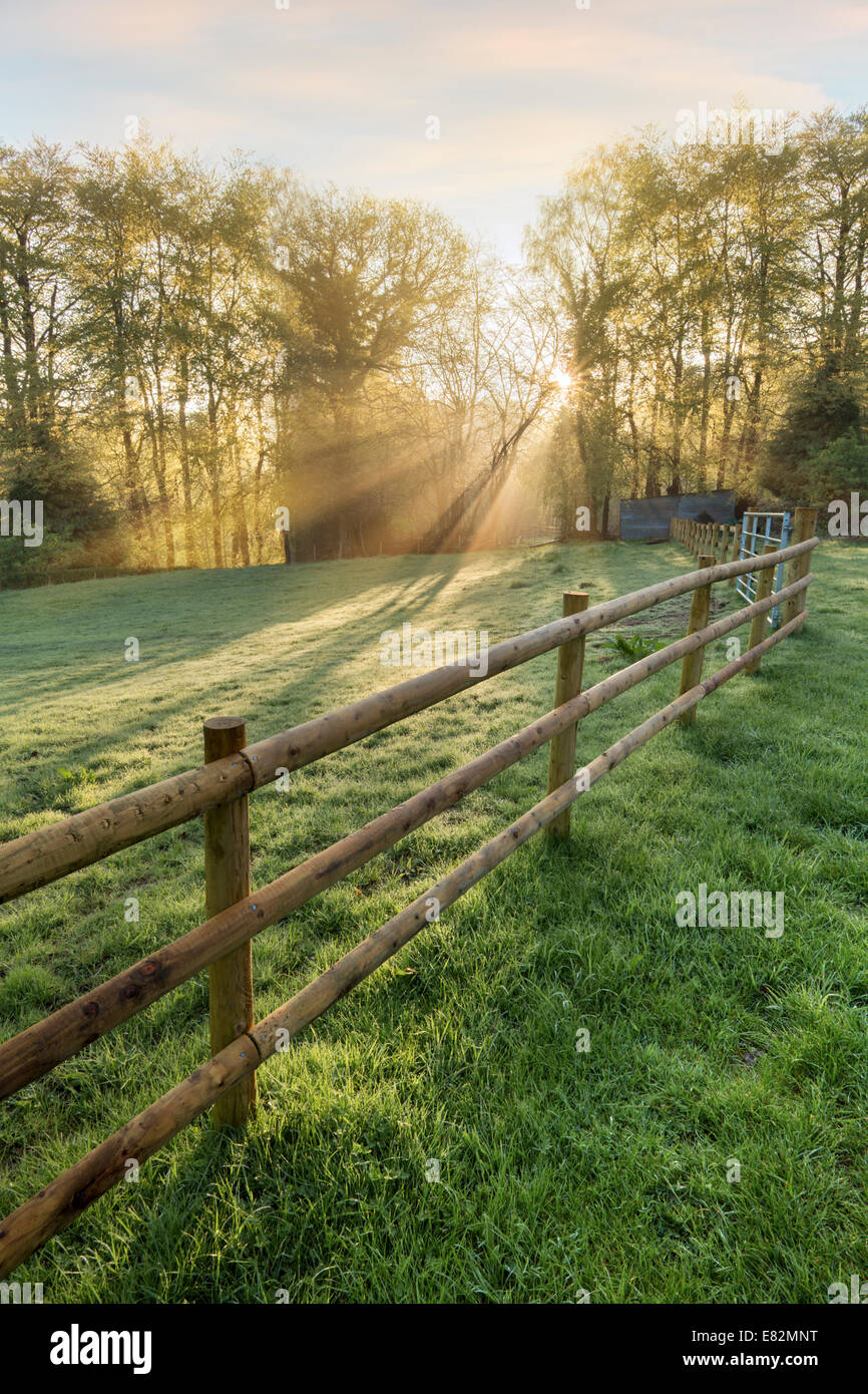 Daybreak over a dew covered field Stock Photo - Alamy