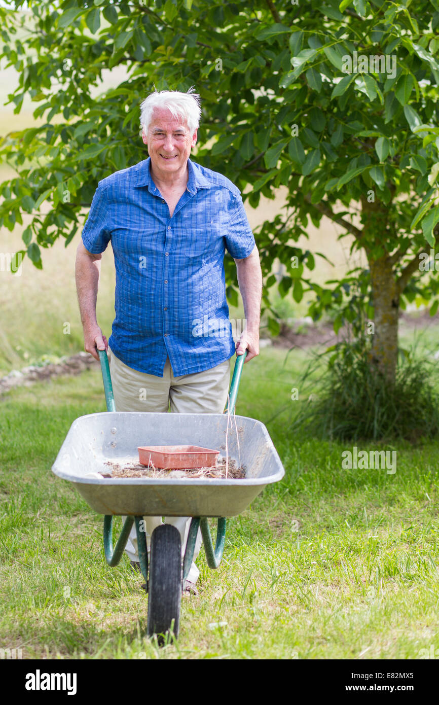 Man pushing a wheelbarrow Stock Photo - Alamy