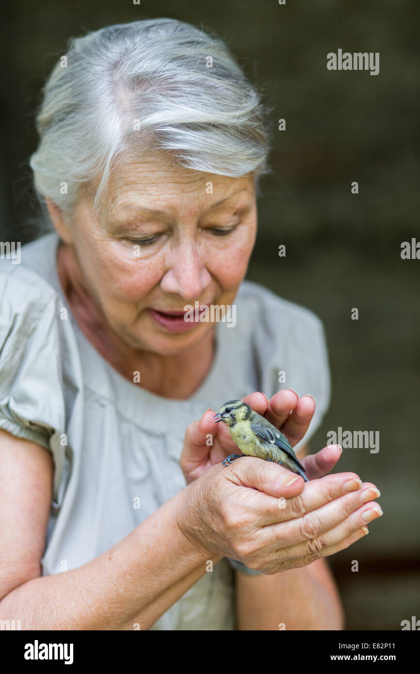 Old woman and bird hi-res stock photography and images - Alamy