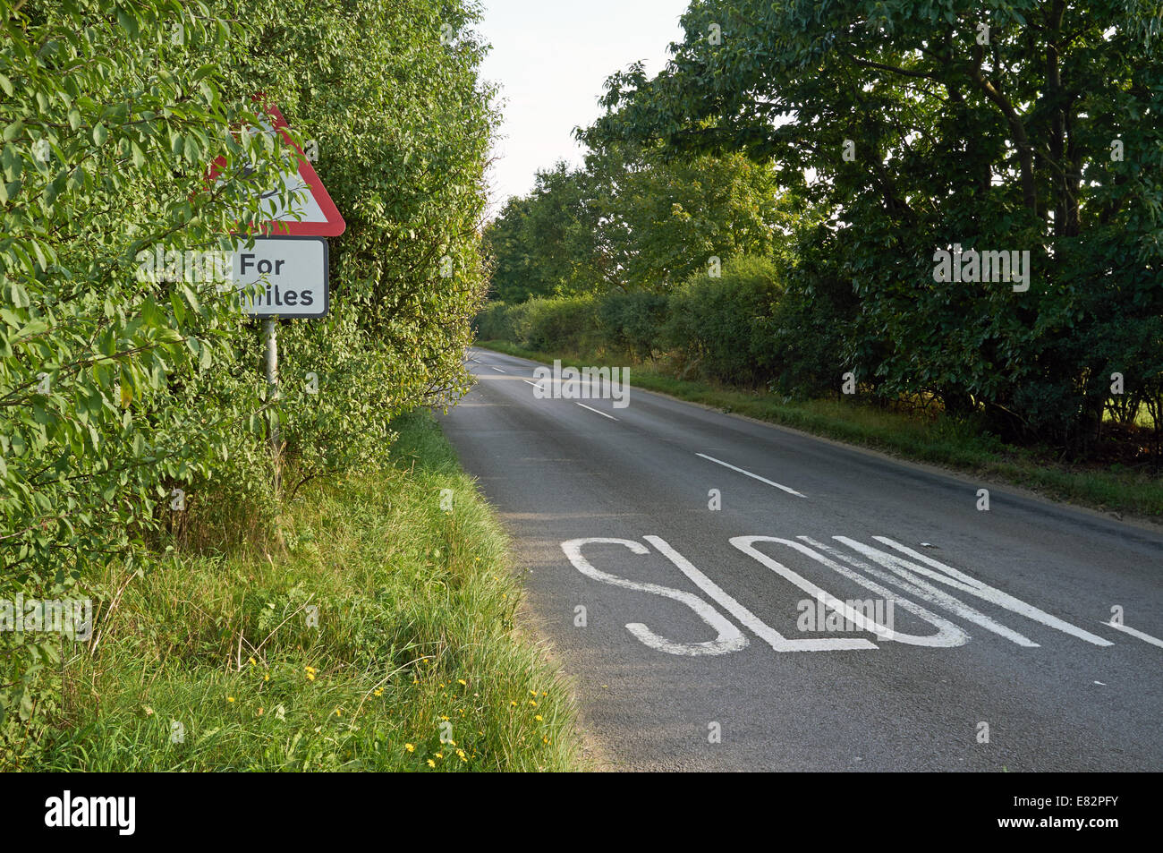 Deer for 2 miles road traffic sign hidden by roadside foliage, Sutton ...