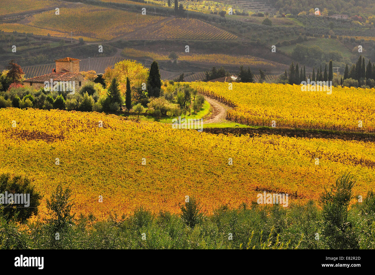 Southern Tuscany, Italy Stock Photo - Alamy