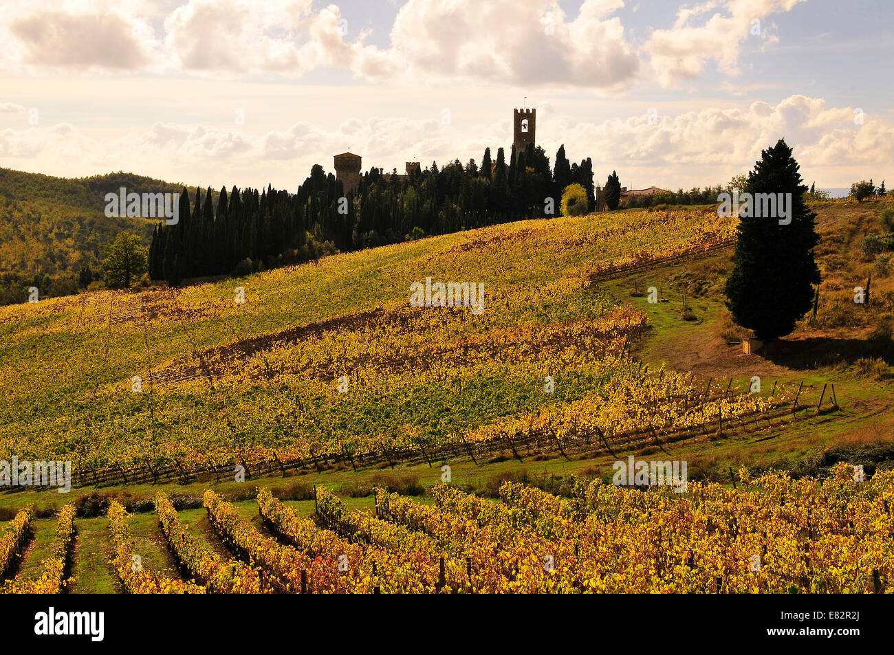 Southern Tuscany, Italy Stock Photo - Alamy