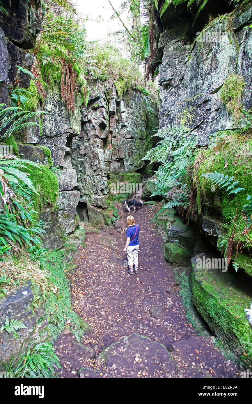 A woman walking into Lud's Church near to Gradbach in the Roaches hills ...