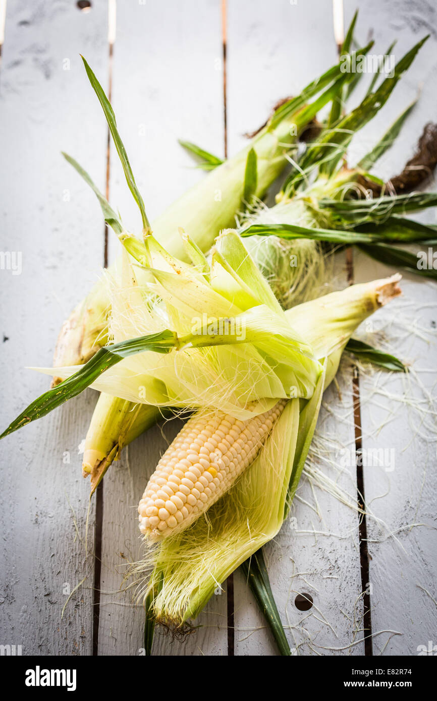 Ears of corn of corn grains hi-res stock photography and images - Alamy
