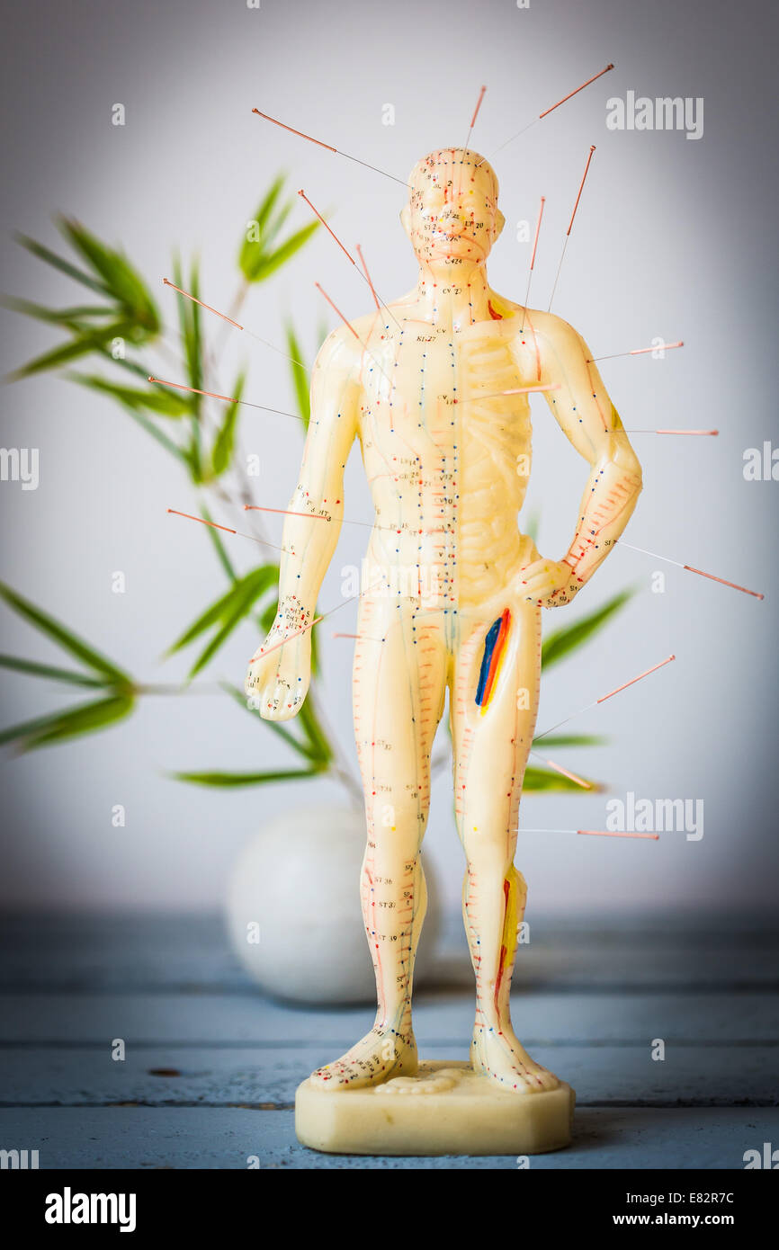 Acupuncture model hi-res stock photography and images - Alamy