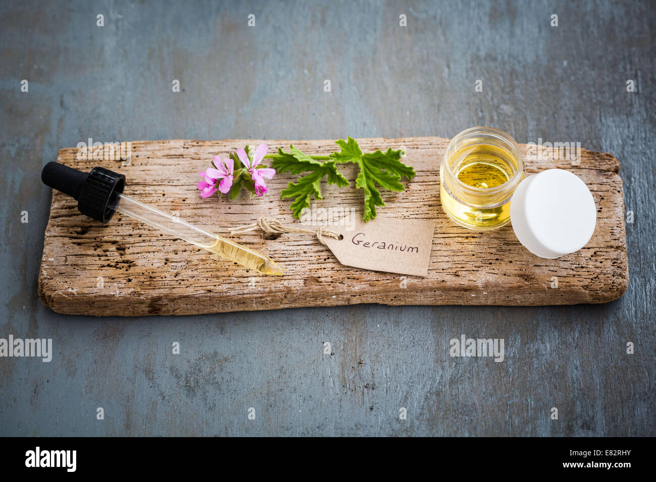 Medicinal geranium hi-res stock photography and images - Alamy