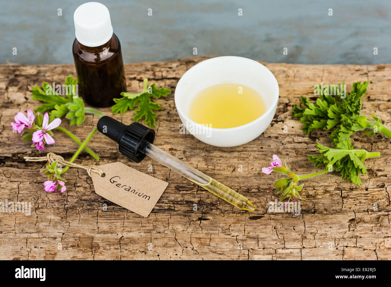 Medicinal geranium hi-res stock photography and images - Alamy