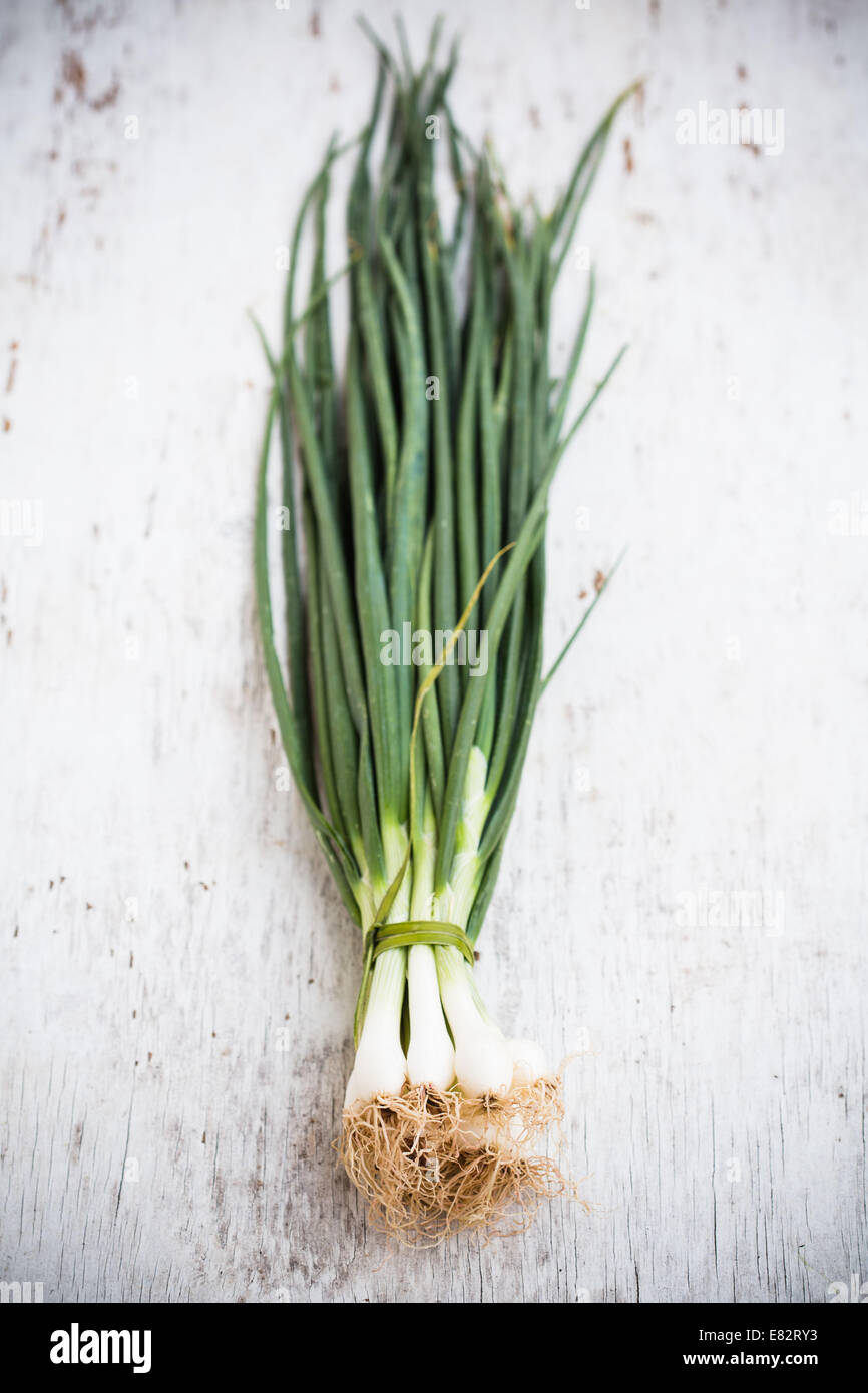 Chive onion still life hi-res stock photography and images - Alamy