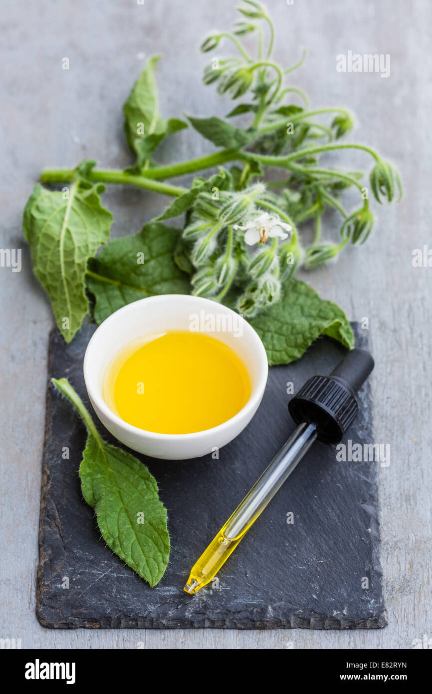 Essential oil of borage (Borago officinalis Stock Photo - Alamy