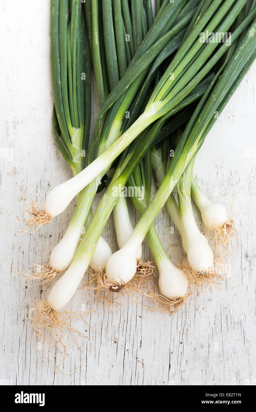 Chive onion still life hi-res stock photography and images - Alamy