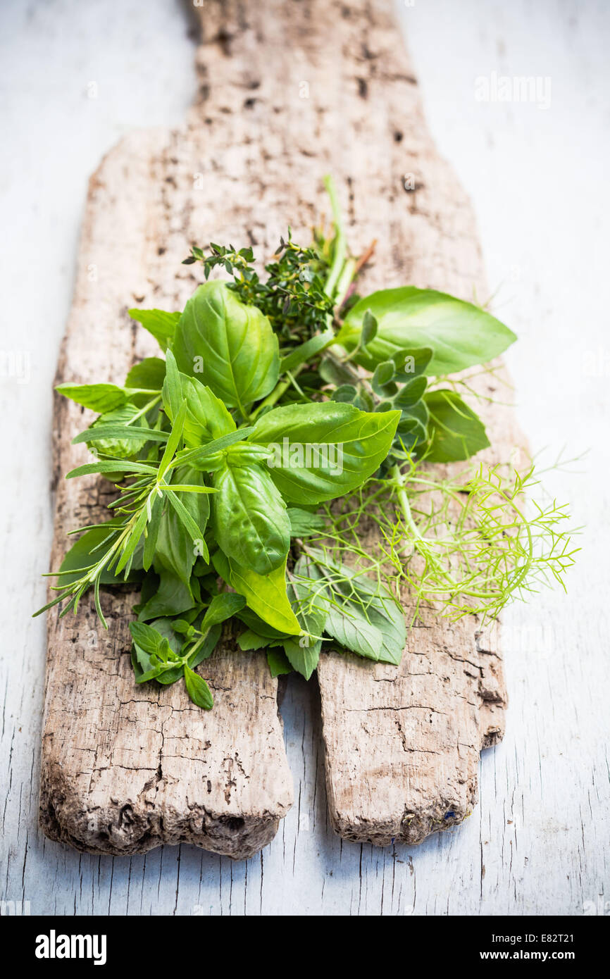 Assorted aromatic herbs basil hi-res stock photography and images - Alamy