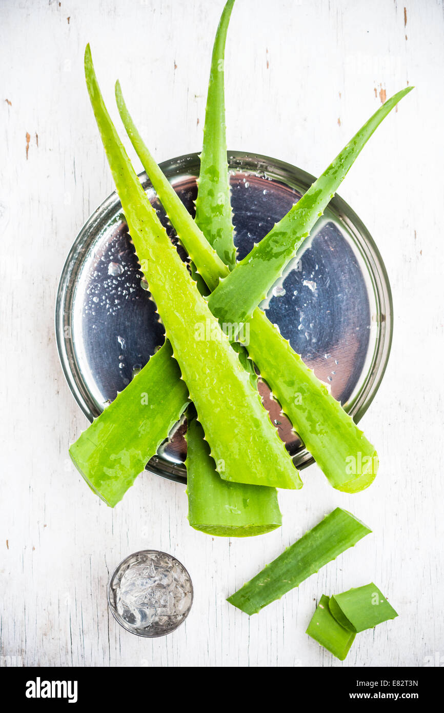 Aloe vera leaves Stock Photo - Alamy