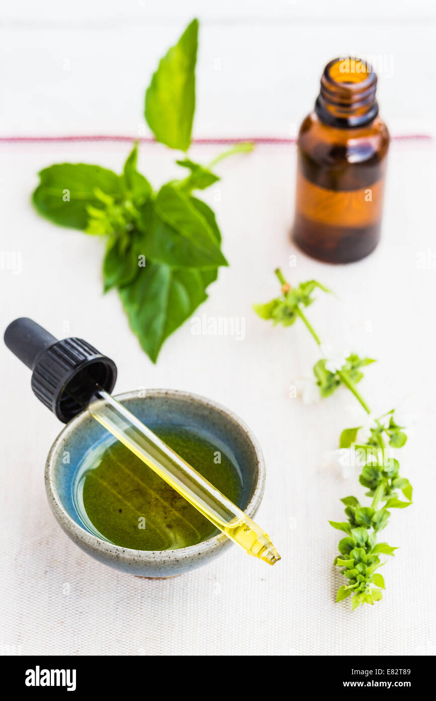 Basil oil aromatherapy hi-res stock photography and images - Alamy