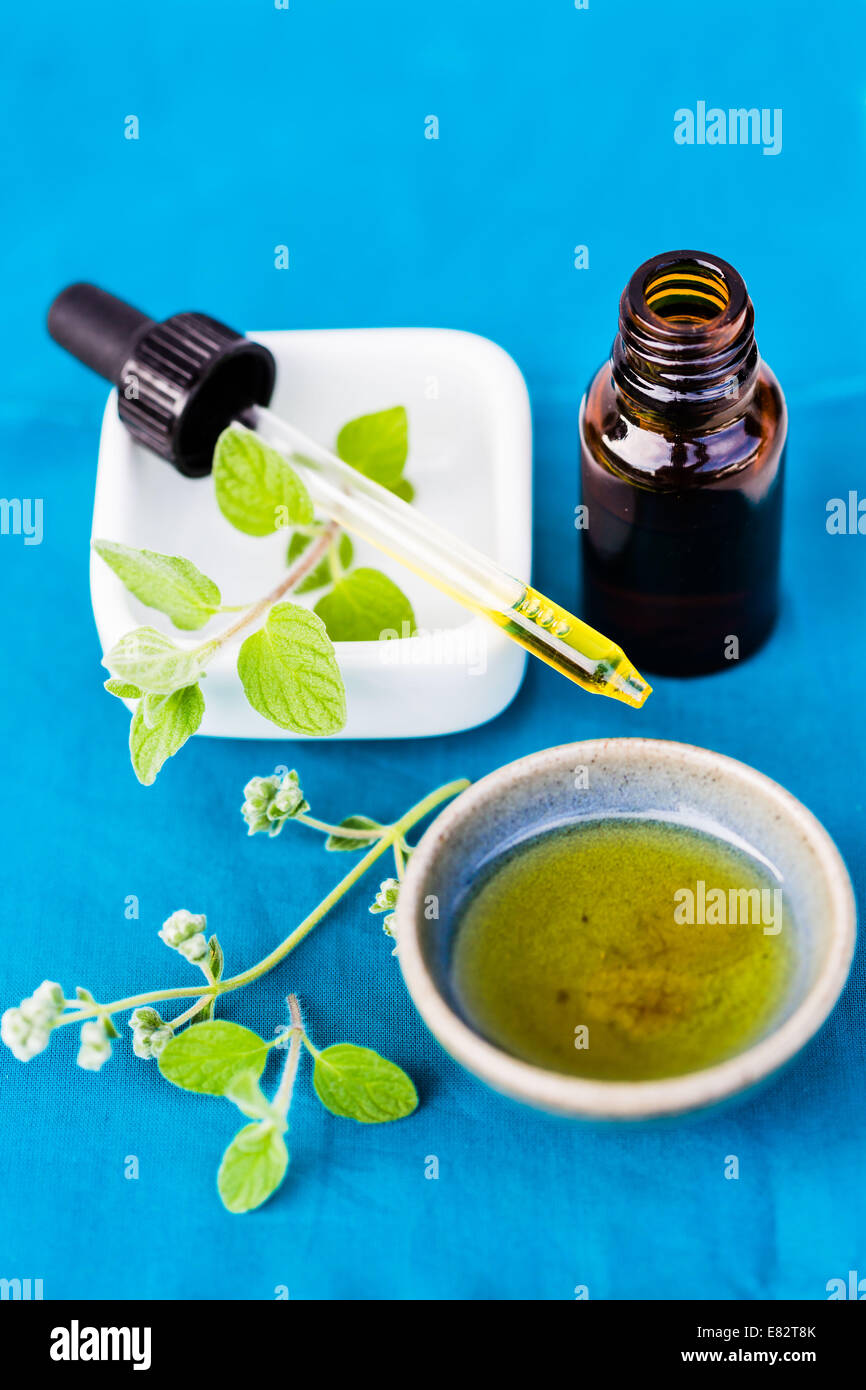 Origanum Majorana Leaf Oil For Sale – BLKXFS