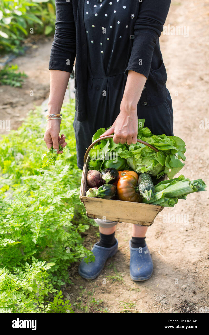 Fruits and vegetables picking self service, Soyaux, Charente, France ...