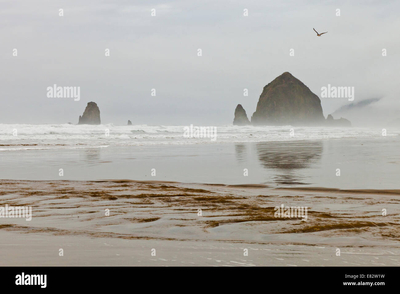 Haystack Rock Cannon Beach Oregon Stock Photo - Alamy
