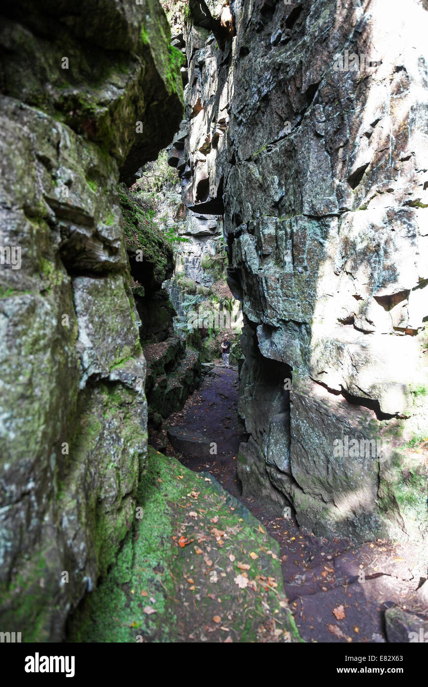 A woman walking into Lud's Church near to Gradbach in the Roaches hills ...