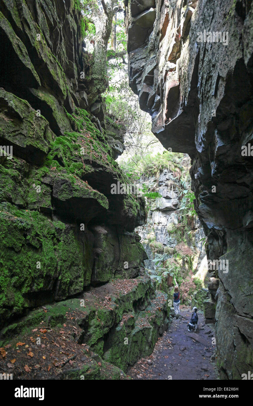 A woman walking into Lud's Church near to Gradbach in the Roaches hills ...