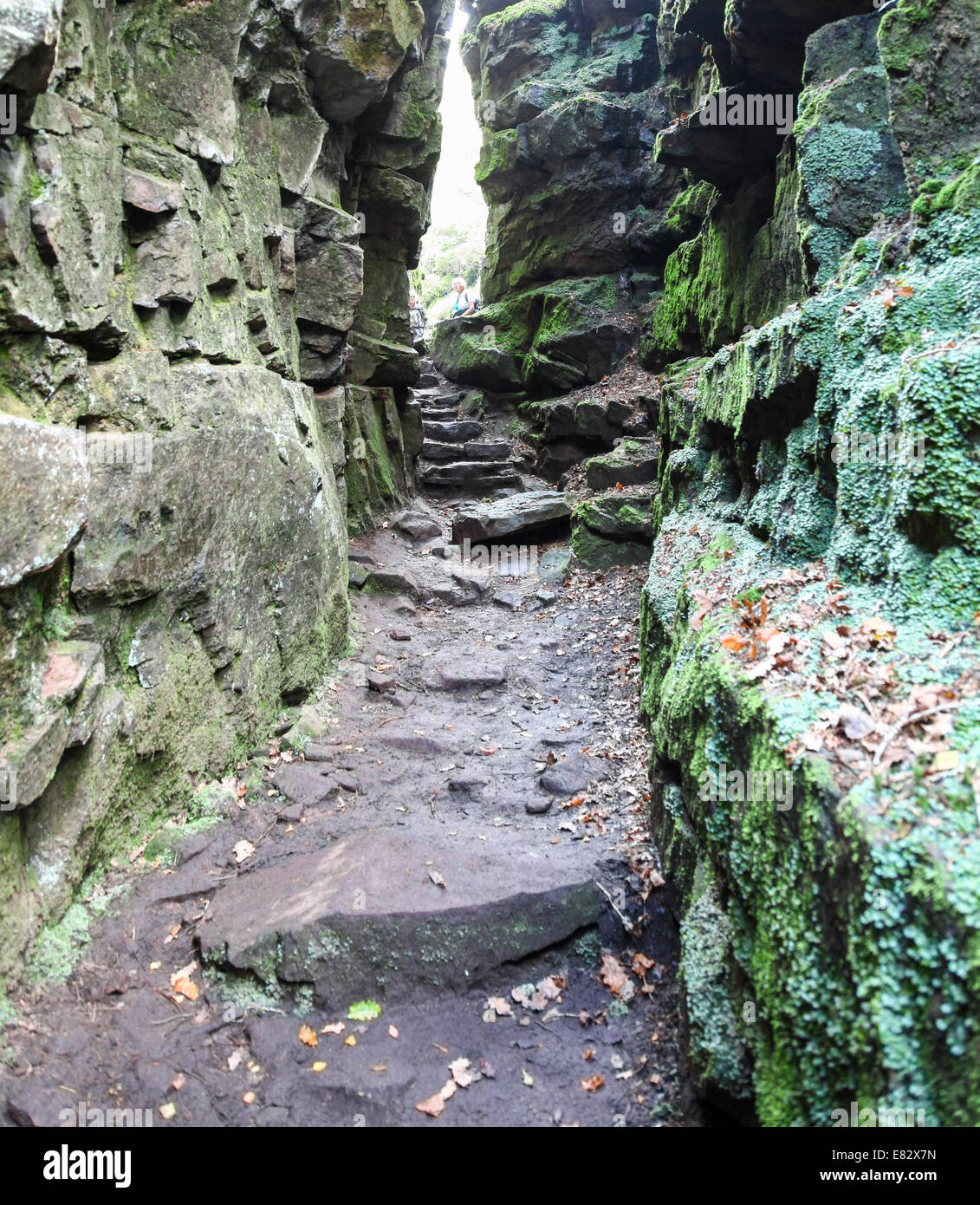 Steps into Lud's Church near to Gradbach in the Roaches hills ...