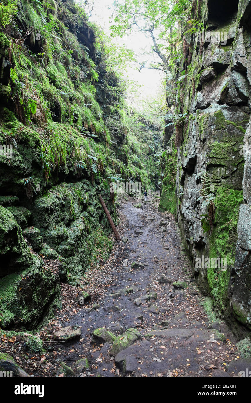 Gradbach hi-res stock photography and images - Alamy