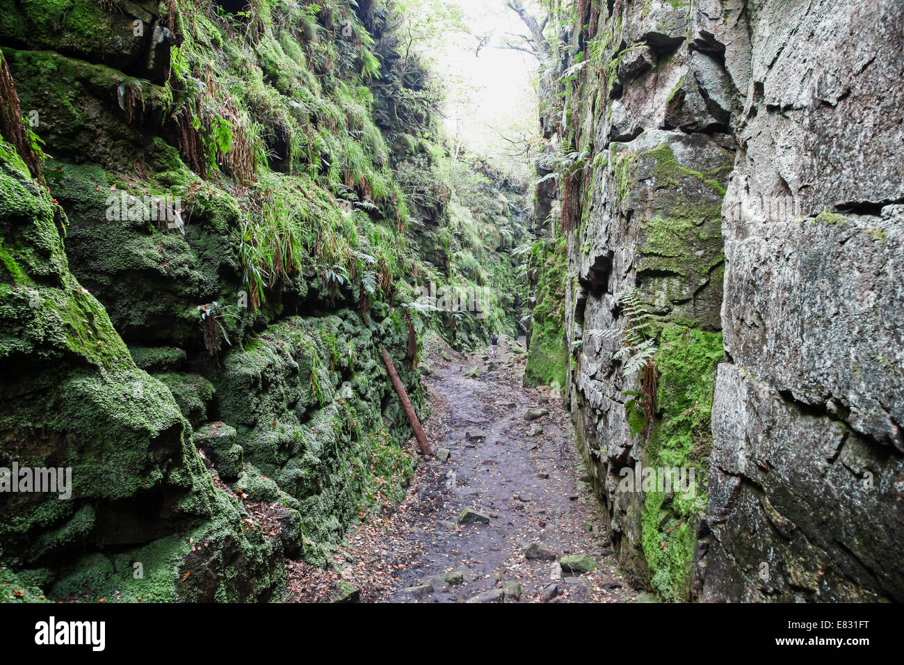 Lud's Church near to Gradbach in the Roaches hills, Staffordshire, Peak ...