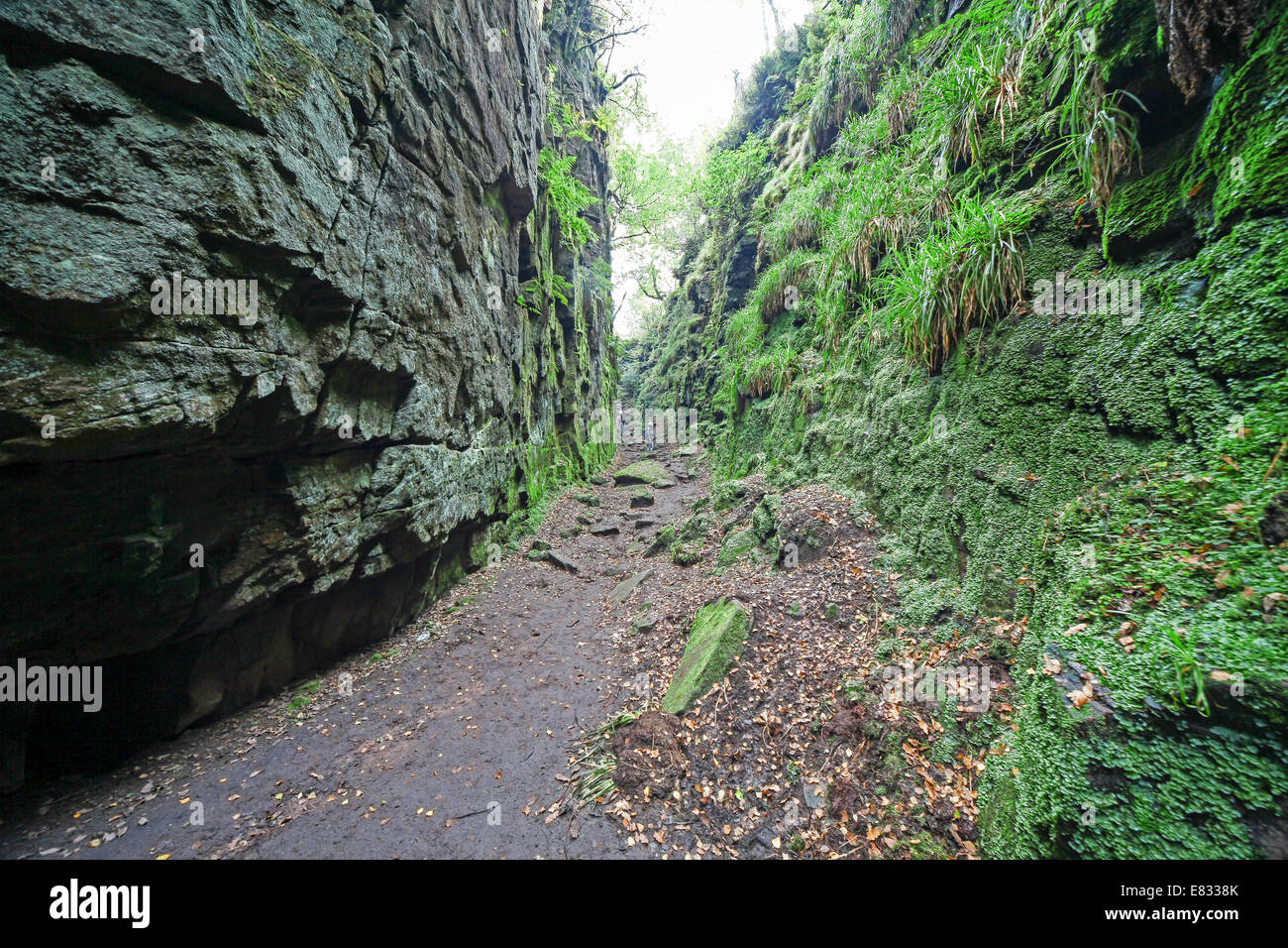 Lud's Church near to Gradbach in the Roaches hills Staffordshire Peak ...