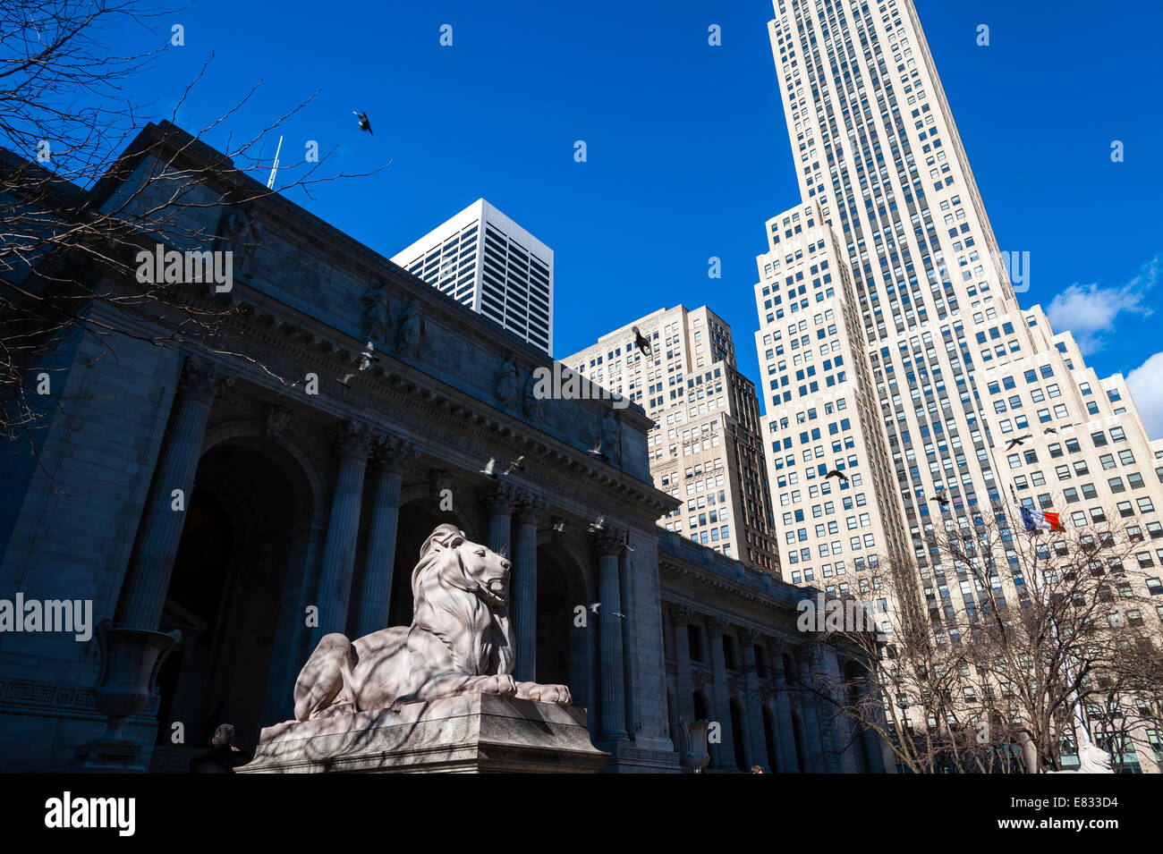 US, New York City. New York Public Library at 5th Avenue Stock Photo ...