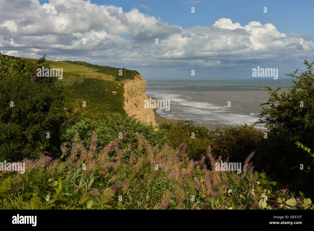 Ecclesbourne Glen. Hastings Country Park Stock Photo - Alamy