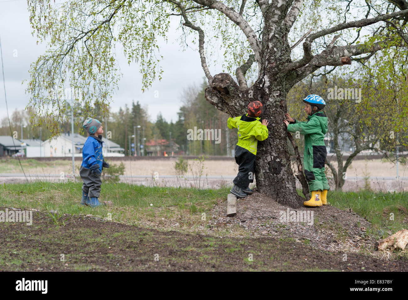Children climbing in a tree Stock Photo - Alamy
