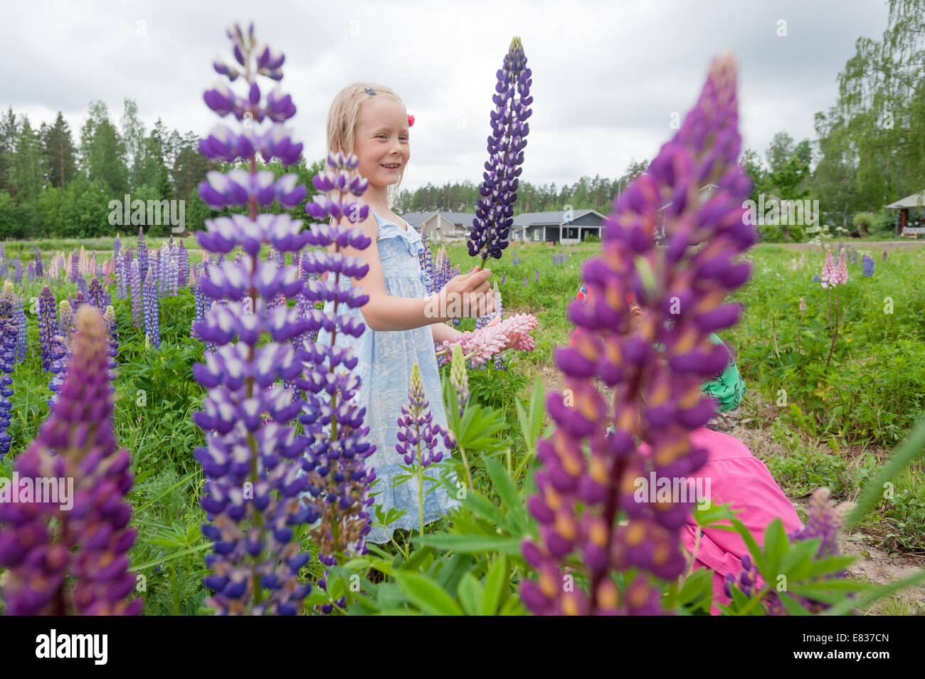 Non native species of flowers hi-res stock photography and images - Alamy