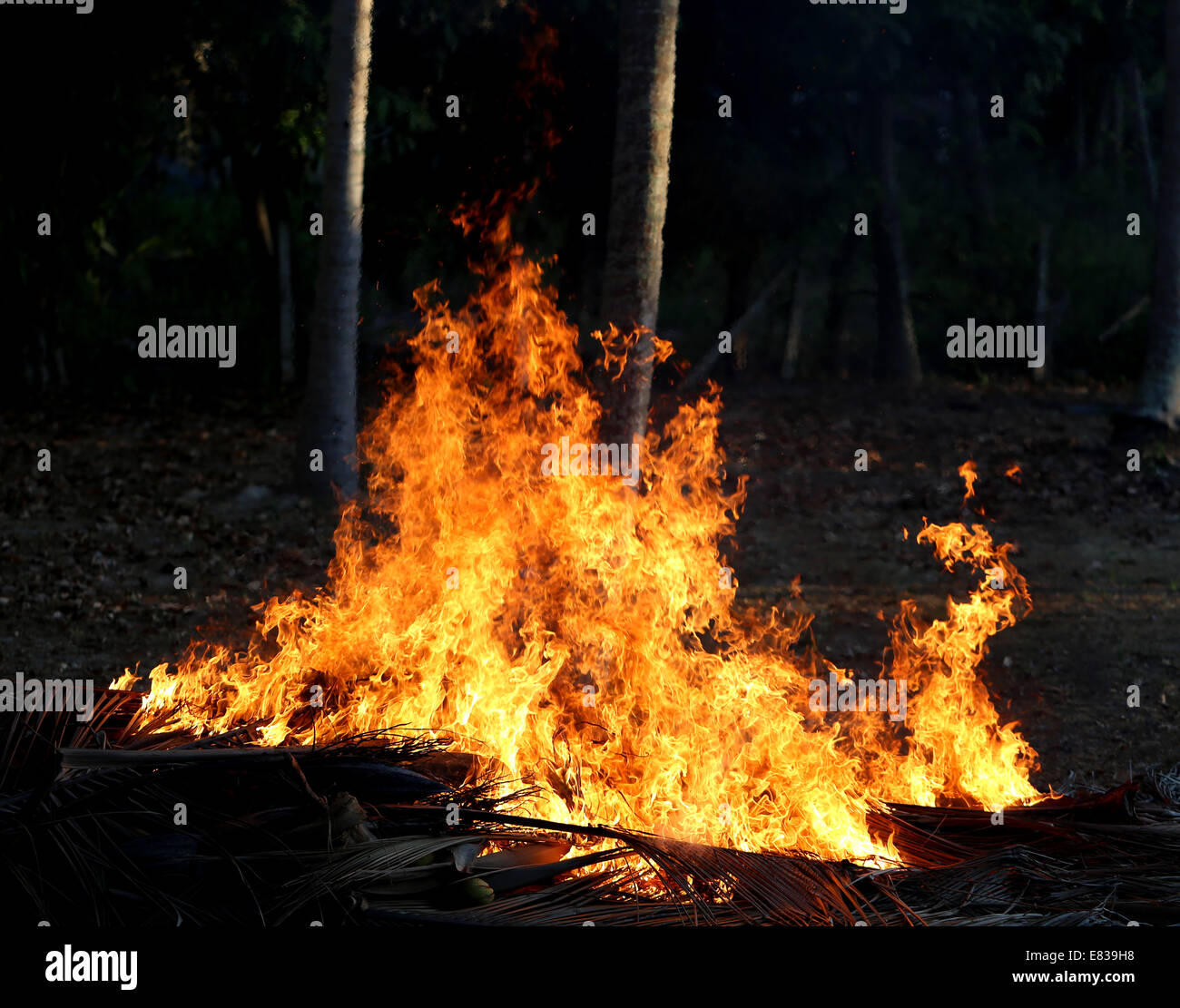 Big burn fire hi-res stock photography and images - Alamy