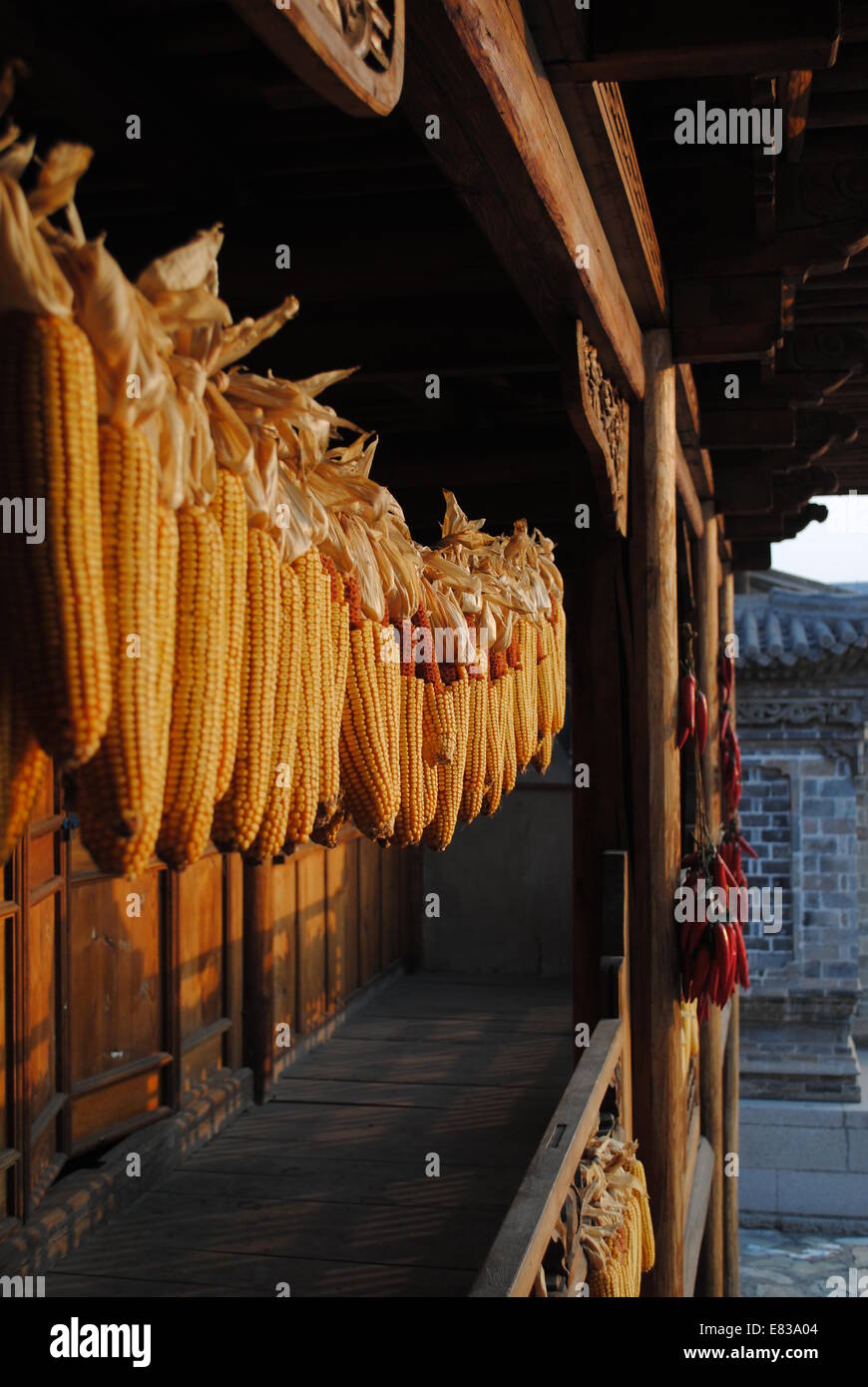 Corn drying under the sun in China Stock Photo - Alamy