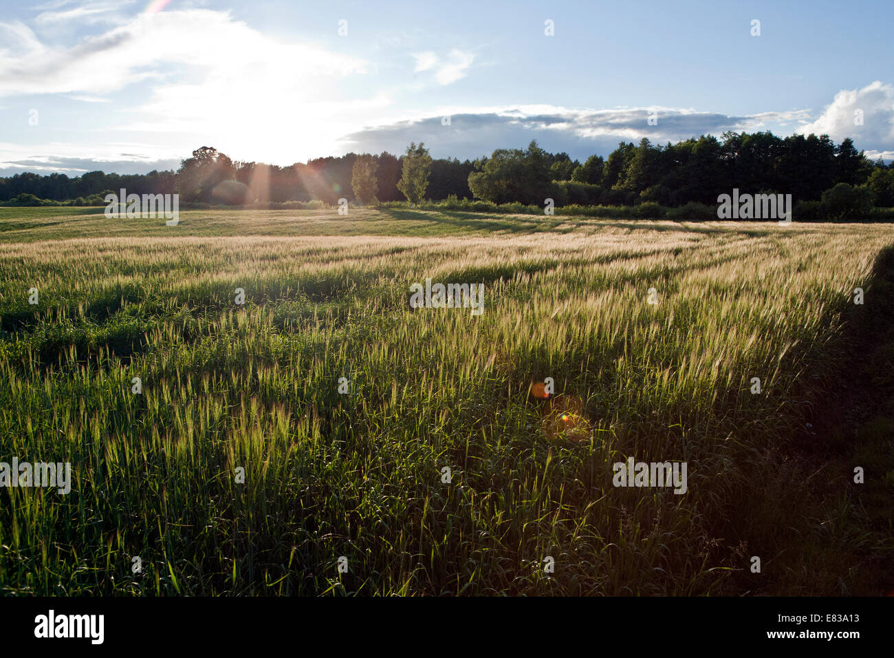 Crop sunset hi-res stock photography and images - Alamy