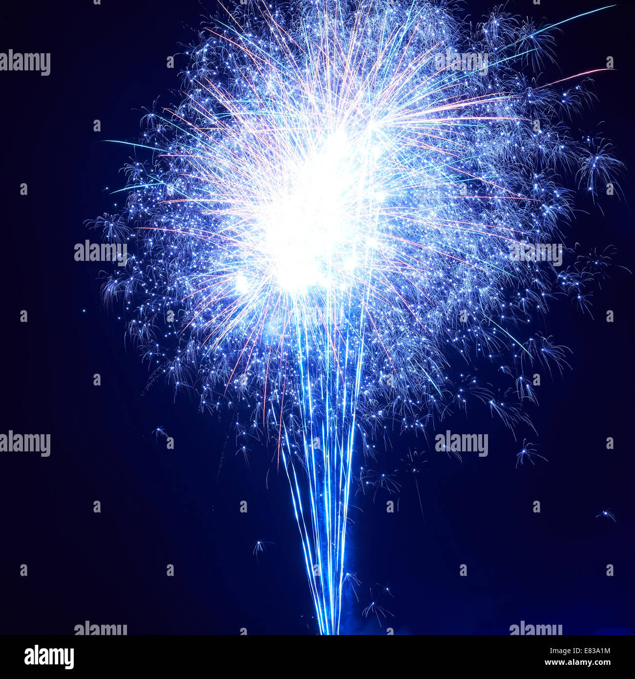 Blue colorful fireworks on the black sky background Stock Photo - Alamy
