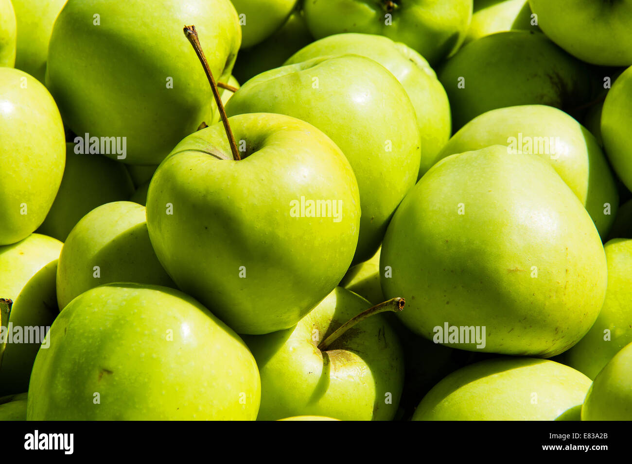 Green Ginger Gold Apples in bin Stock Photo - Alamy