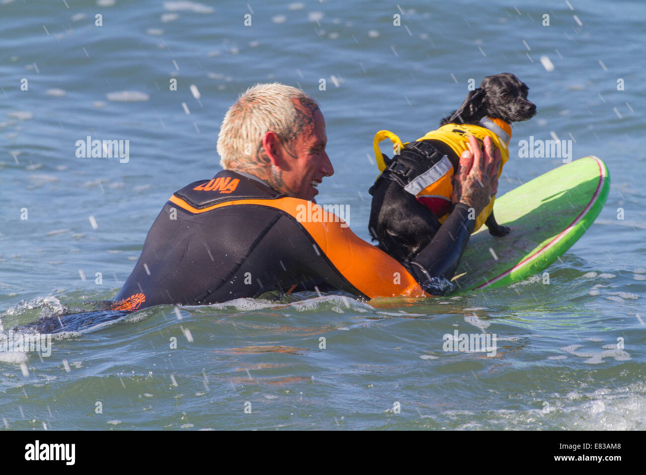 Sept. 28, 2014 - Huntington, CA, US - World Famous Unleashed by Petco ...