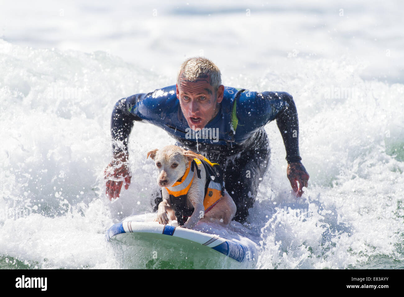 Huntington, CA, US. 28th Sep, 2014. World Famous Unleashed by Petco ...