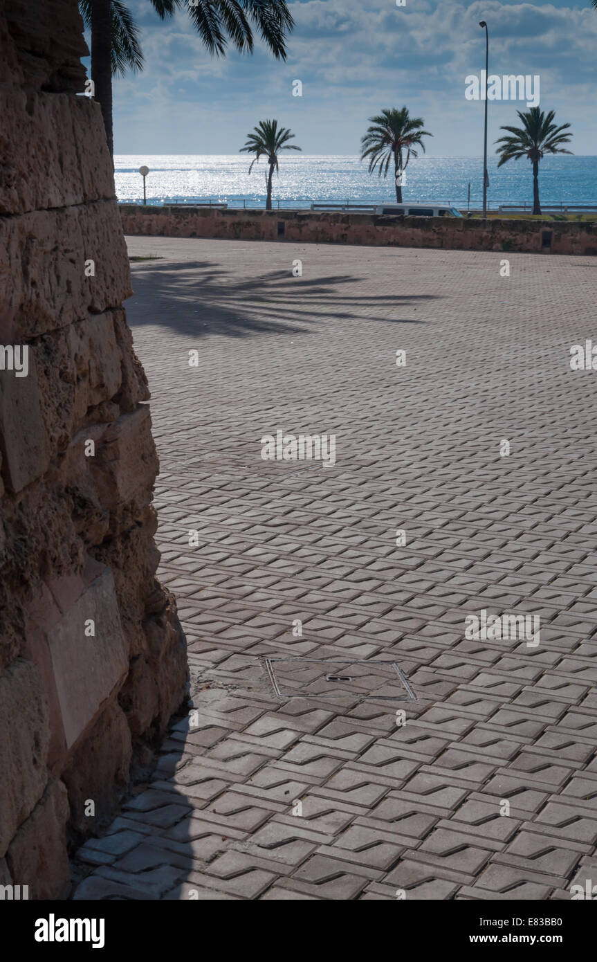 City scene with ocean view, paved open space and palm trees on a corner ...