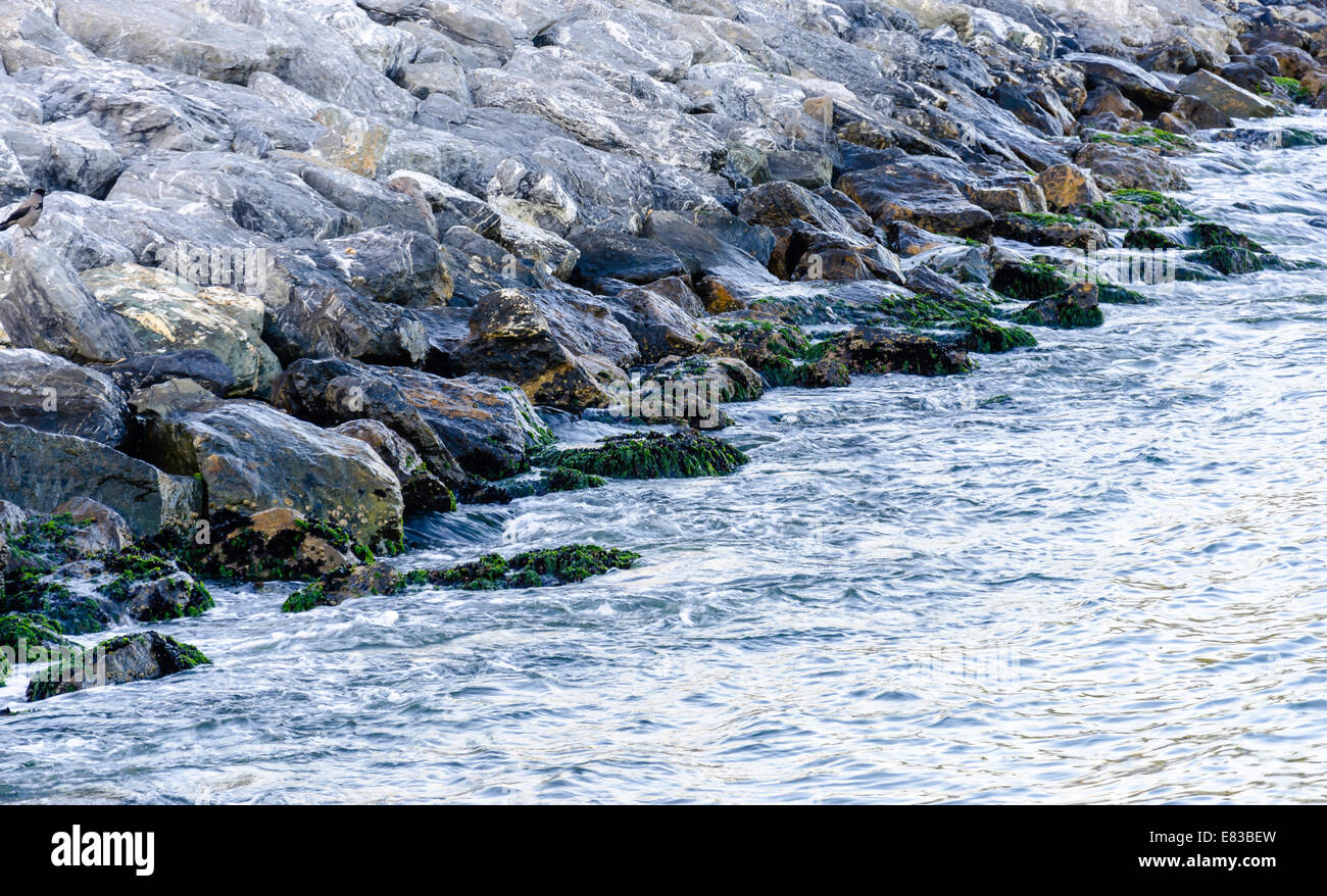Moda beach istanbul hi-res stock photography and images - Alamy