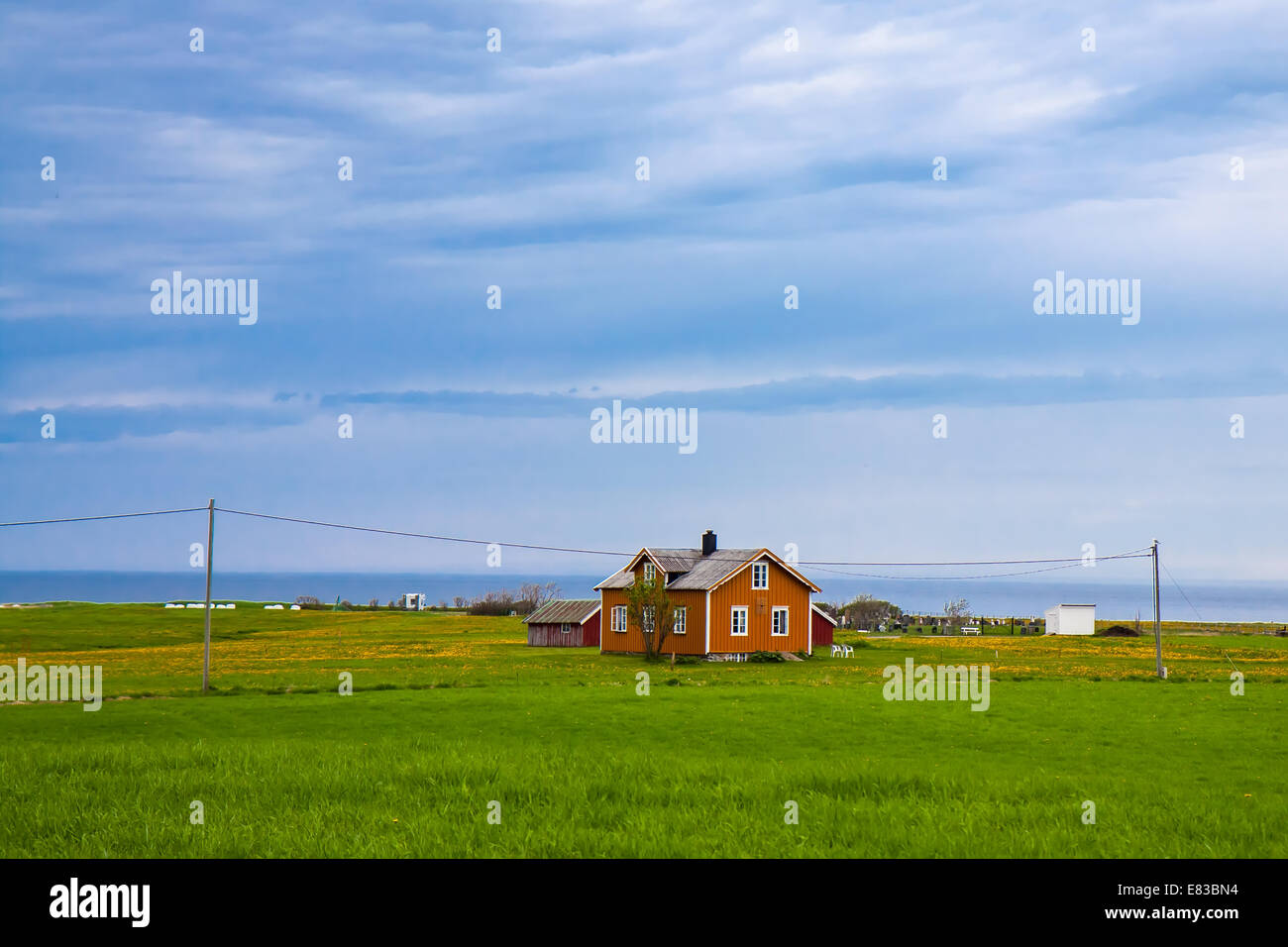 Norwegian traditional alone house in countryside, Lofoten island Stock ...