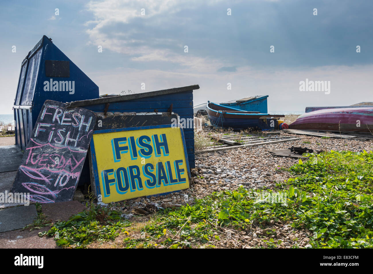 Fresh fish for sale signs on the beach in West Sussex Stock Photo - Alamy