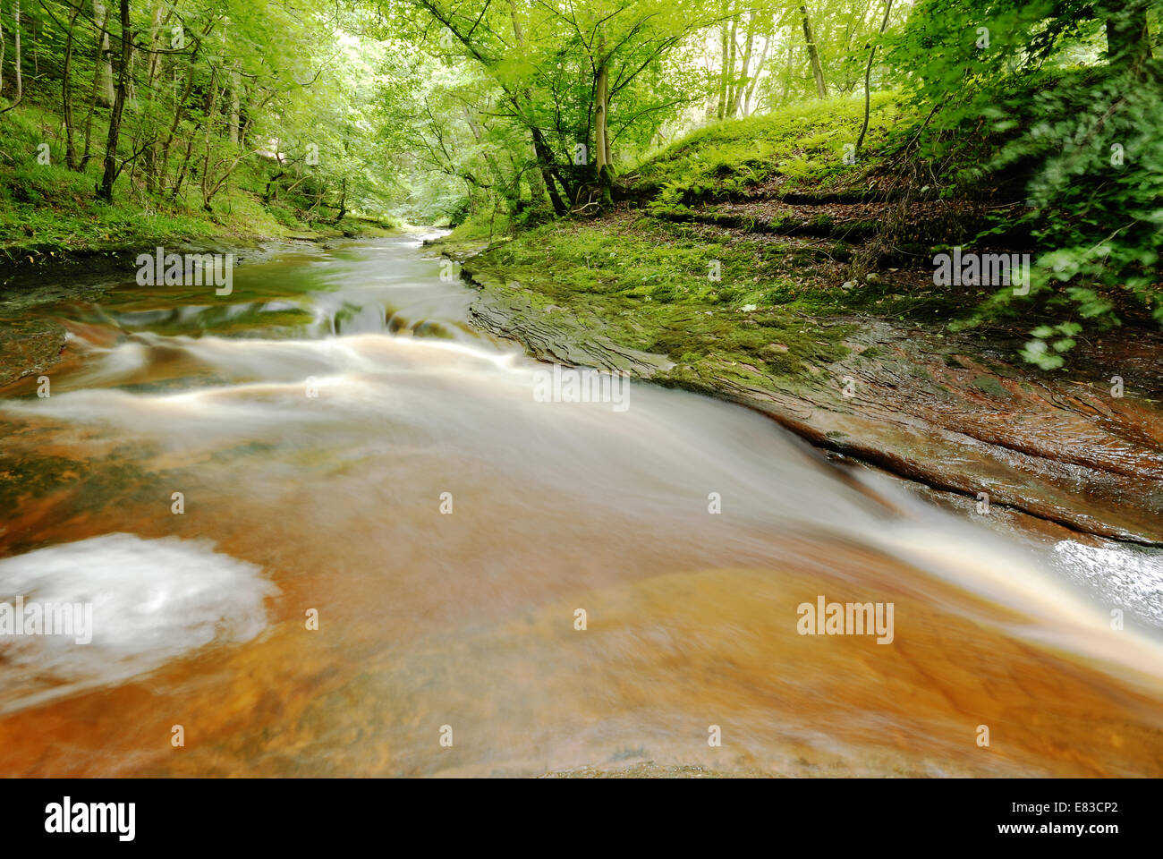 Gelt roman hi-res stock photography and images - Alamy