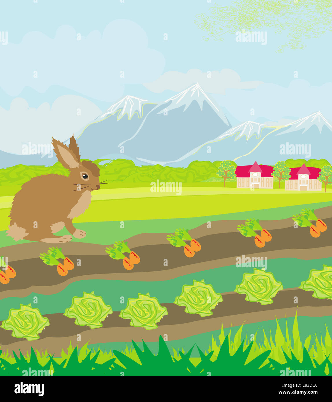 rural landscape with hare Stock Photo - Alamy