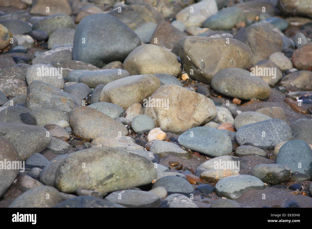 stones and rocks on a sandy beach background Stock Photo - Alamy